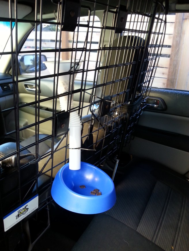 A device to help us help dogs in the car – The Dog Guy
